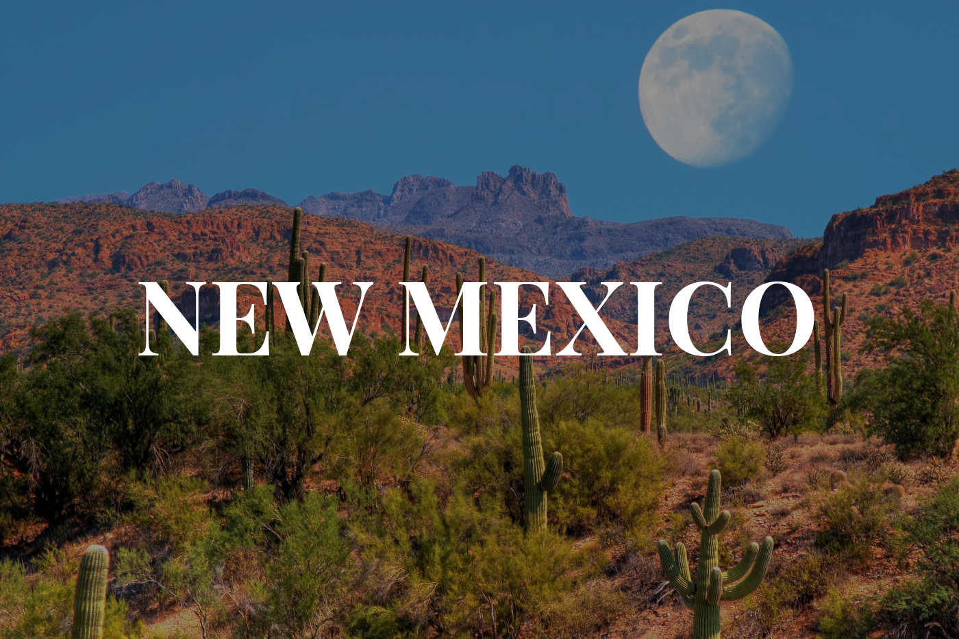 28 Things To Do in New Mexico Everyone Will Love