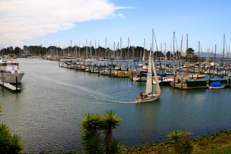 17 Amazing Things To Do in Berkeley You’ll Love